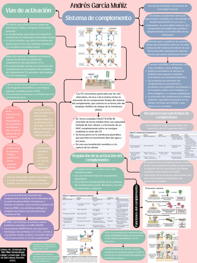 Sistema de Complemento | Descargar gratis PDF | Sistema complementario ...