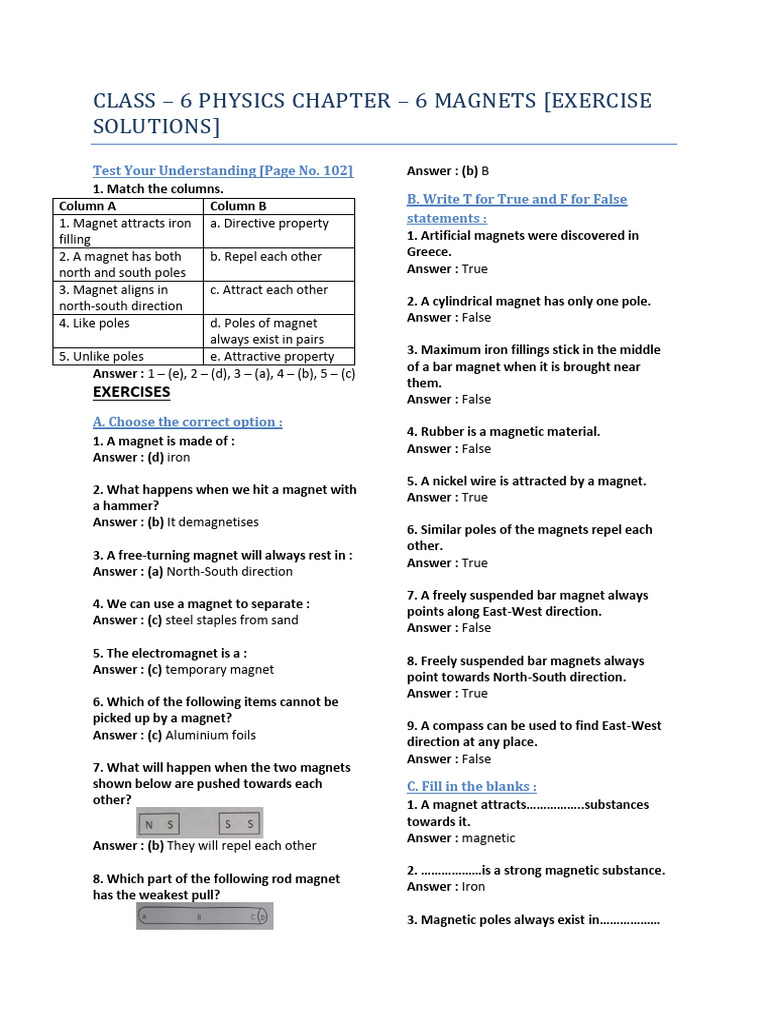 Class - 6 Physics Chapter - 6 Magnets (Exercise Solutions) : Exercises | PDF | Magnet | Magnetism