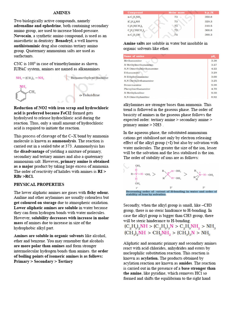 Amines | PDF | Amine | Ammonium