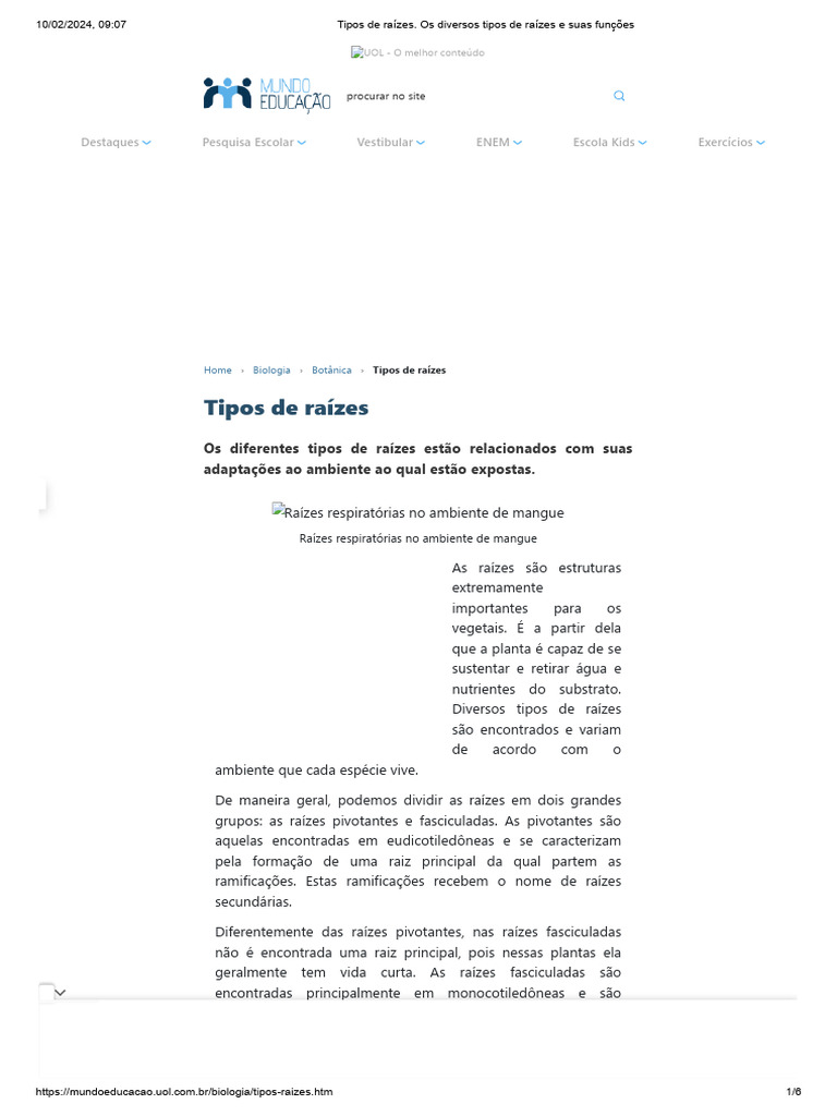 Tipos e Funções das Raízes de Plantas | PDF | Raiz | Plantas