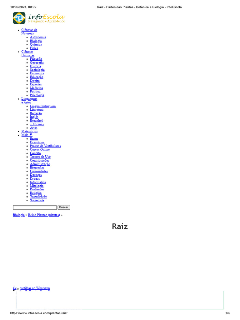 Raiz - Partes Das Plantas - Botânica e Biologia - InfoEscola | Download ... Raiz - Partes Das Plantas - Botânica e Biologia - InfoEscola | Download ...