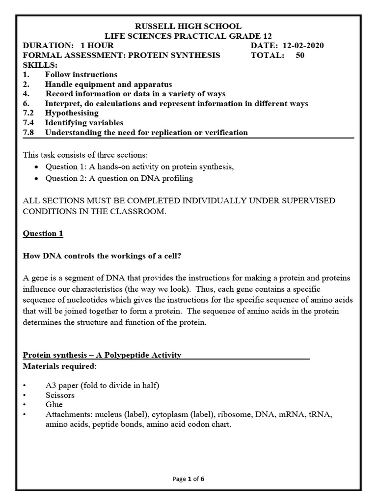 Term 1 Prac Protein Synthesis | PDF | Translation (Biology) | Messenger Rna