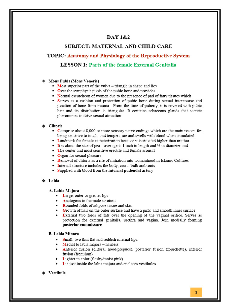 Final Module in M101 1 | PDF | Menstrual Cycle | Pelvis