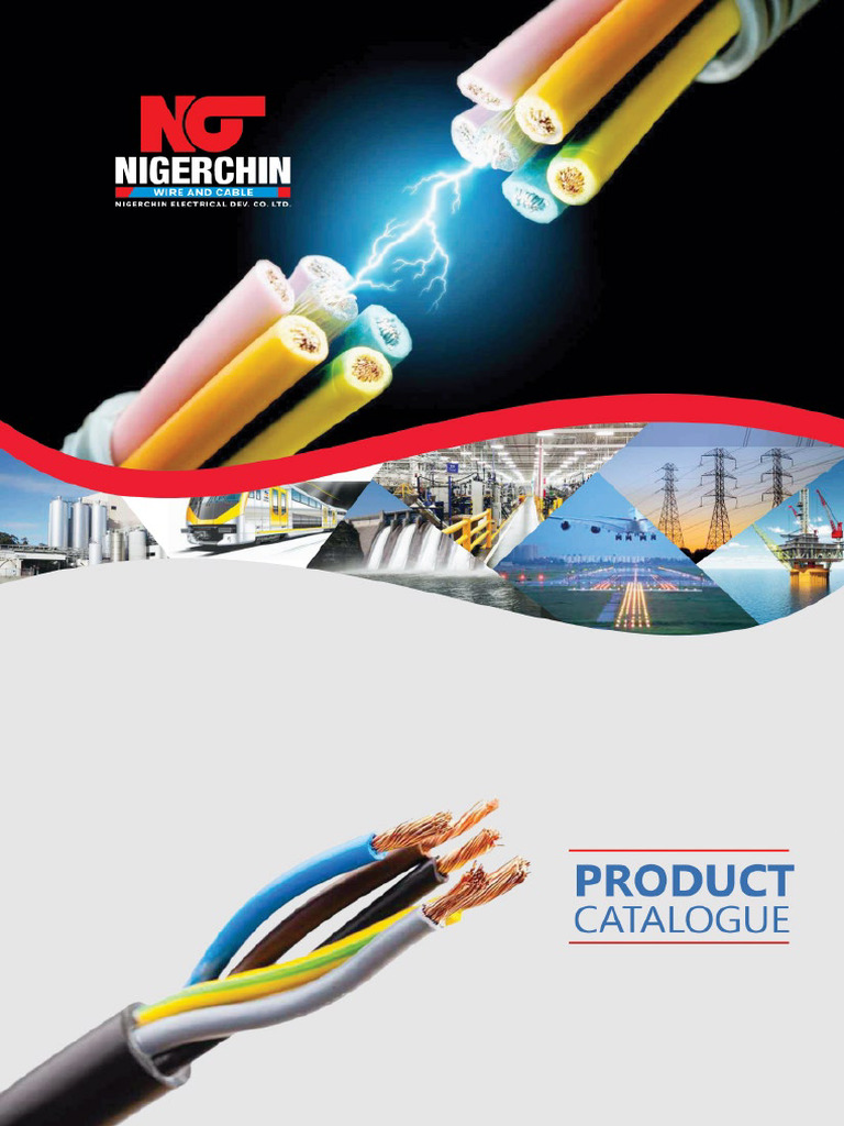 NigerChin Profile | PDF