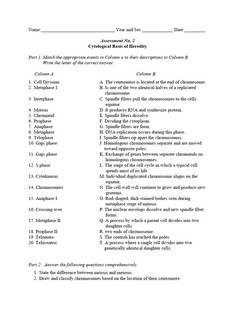Cytological Heredity Assessment Guide | PDF | Meiosis | Mitosis
