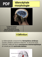 Rôle et anatomie du centre ovale cérébral | PDF | Cerveau | Cortex cérébral