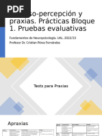 Escala INICO FEAPS | PDF