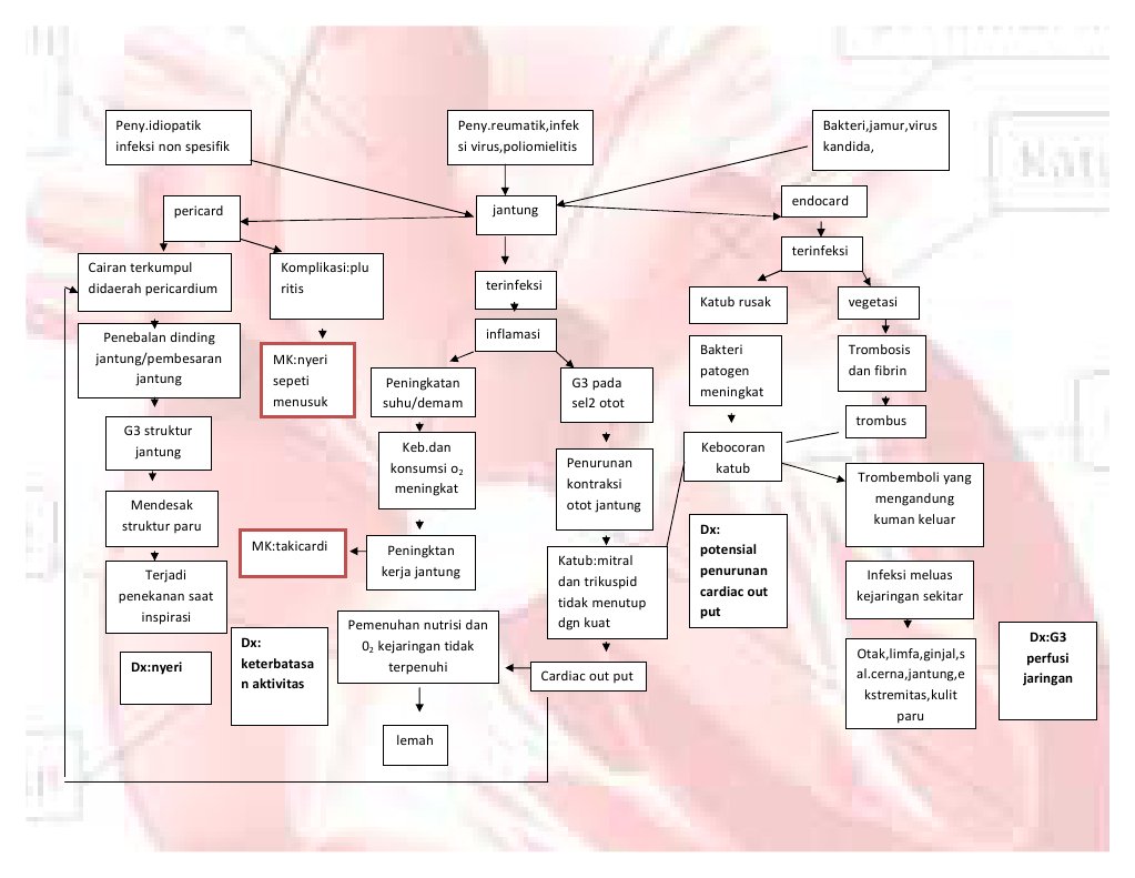 Pathway Infeksi Jantung | PDF | Sains & Matematika
