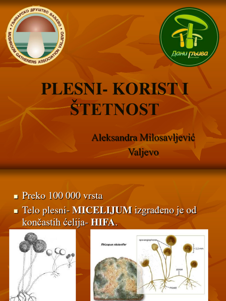 Plesni - Korist I Štetnost | PDF