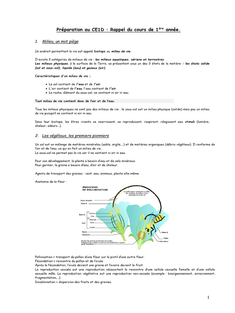 Préparation Au CE1D Synthèse | PDF