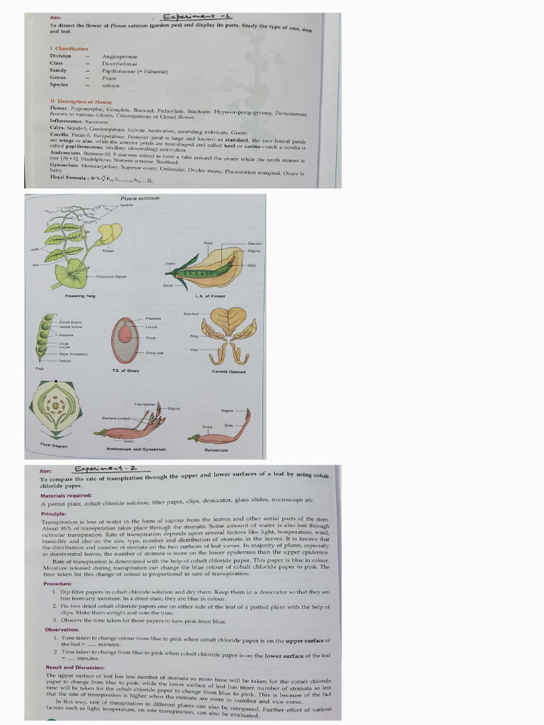 Biology Practical | PDF