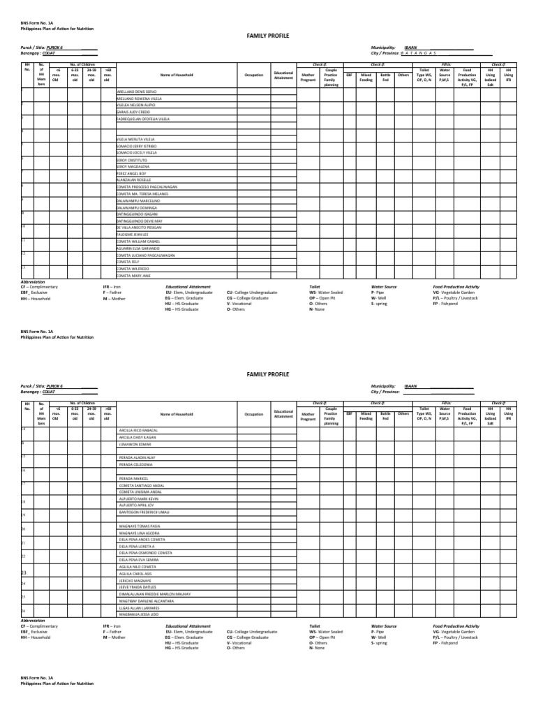 Family Profile No. 1a Purok 6 | PDF