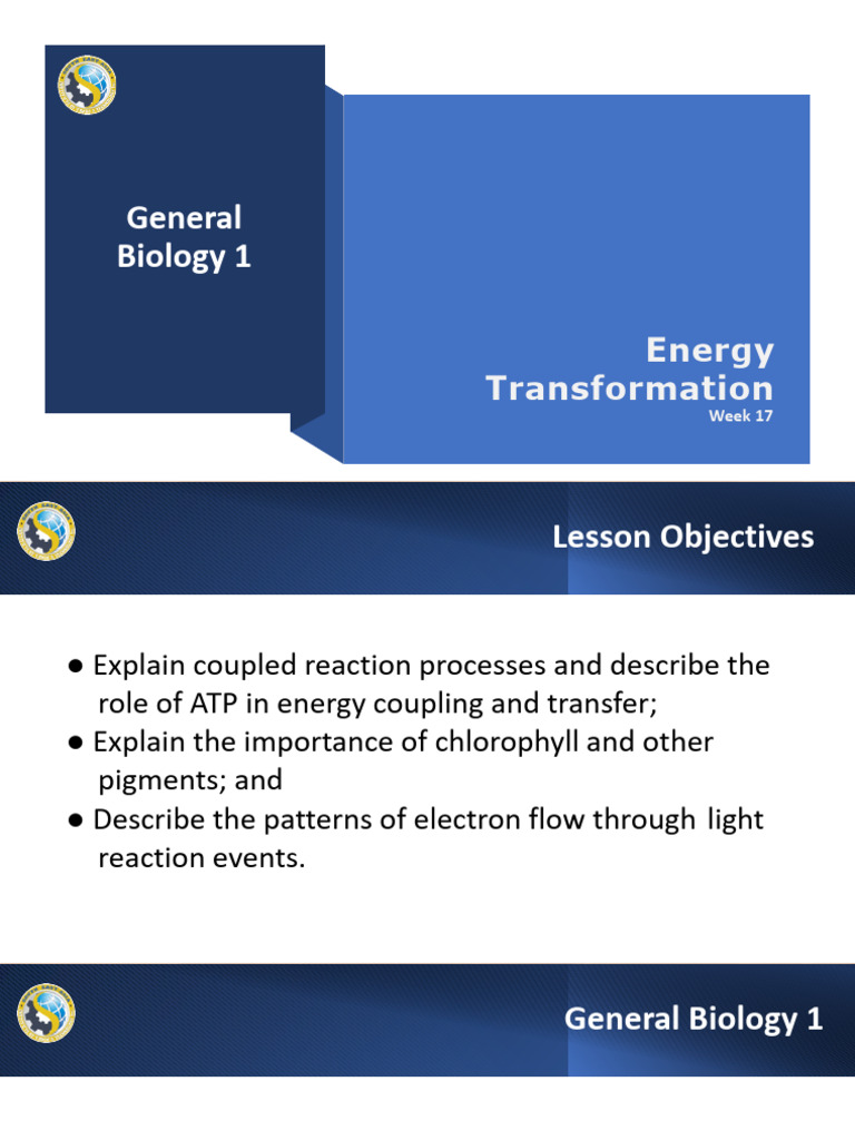 Week 17 Presentation | PDF | Photosynthesis | Biology