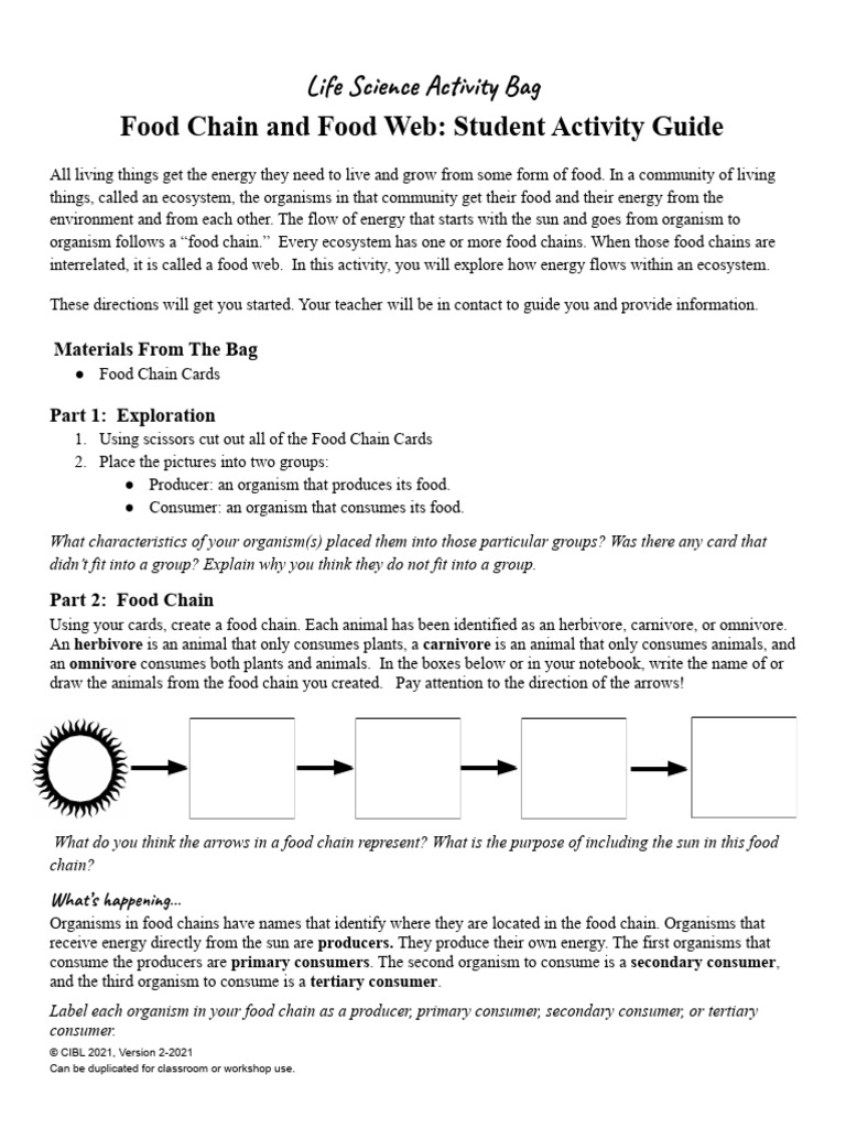 Food Chain And Food Web Activity Guide Pdf Food Web Systems Biology