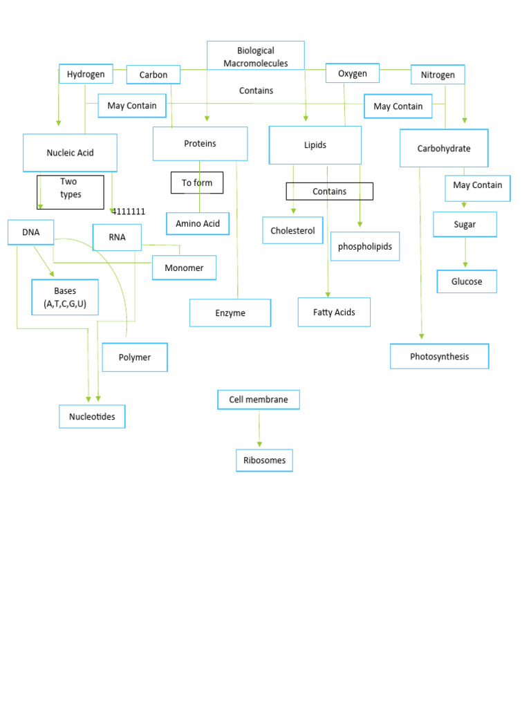 CONCEPT MAP2 | PDF