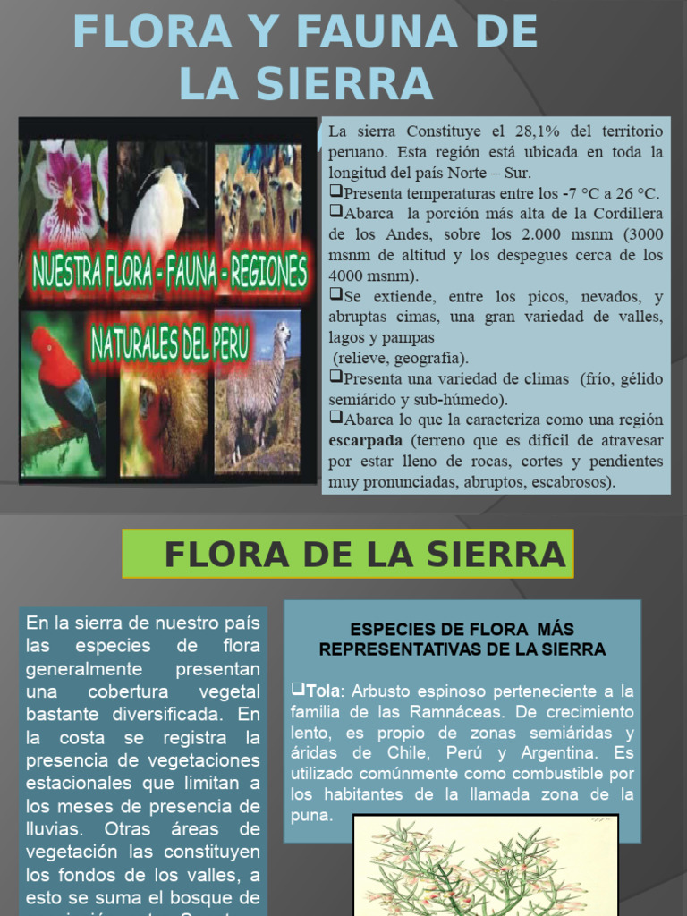 Flora y Fauna de la Sierra Peruana | PDF | Andes