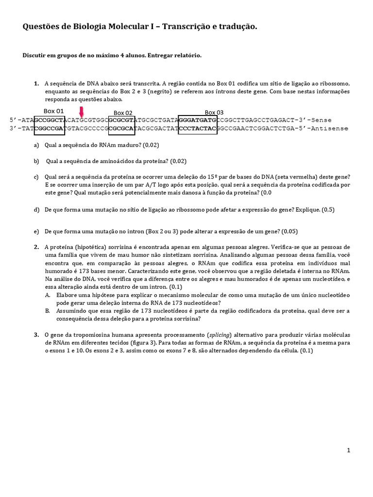 Exercícios Transcrição e Tradução 2022 | PDF | Código genético | Gene
