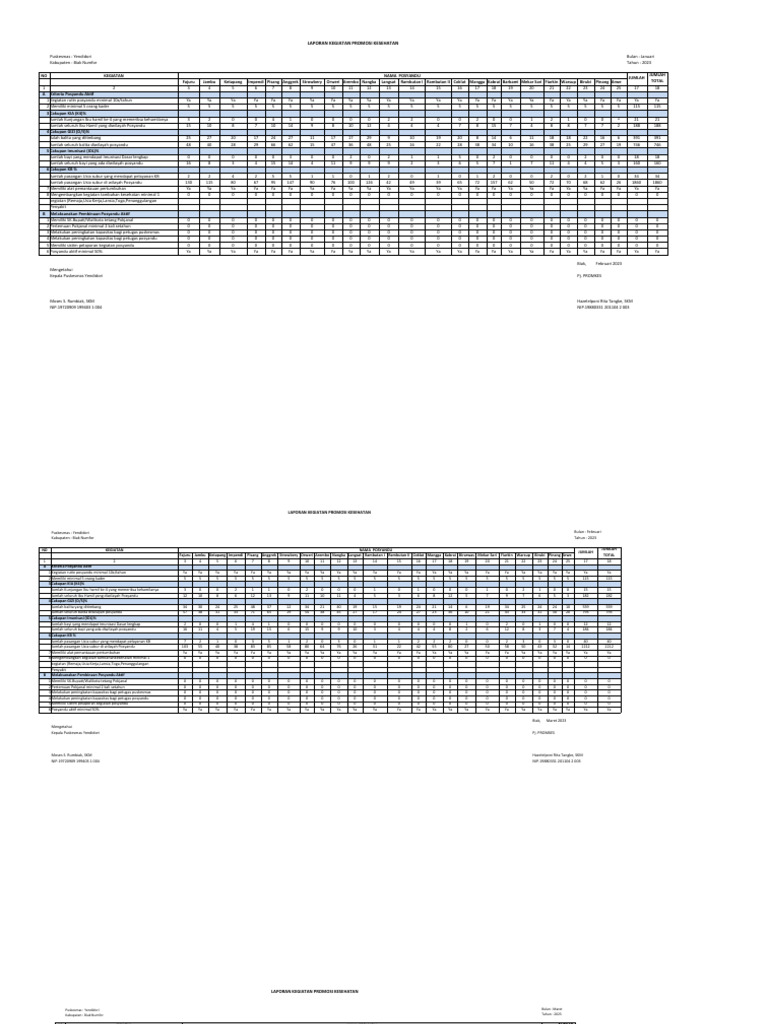 Laporan Bulanan Posyandu Promkes 2023 | PDF