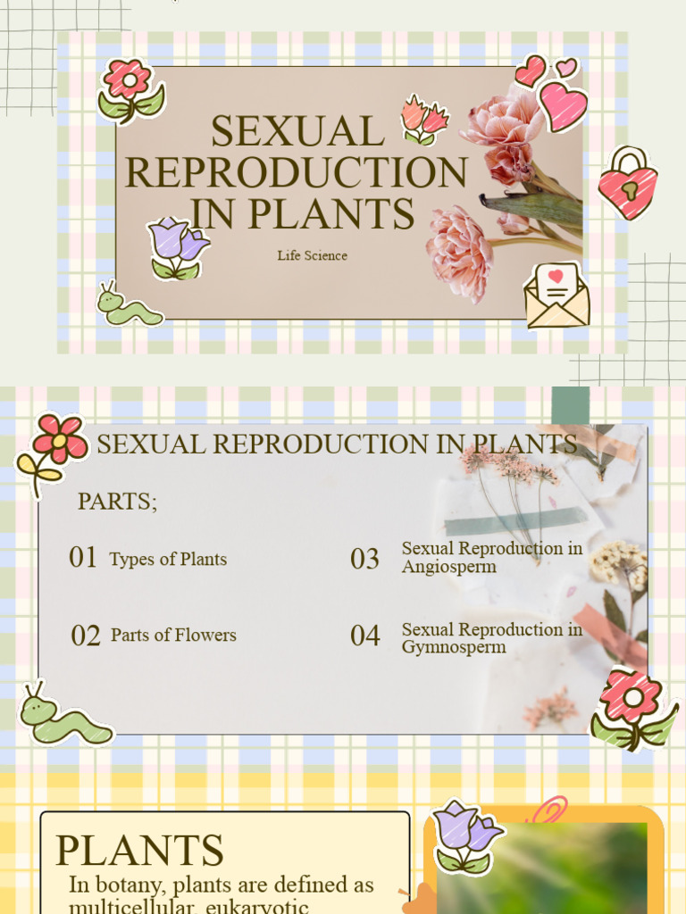 Final Report | PDF | Pollination | Flowers