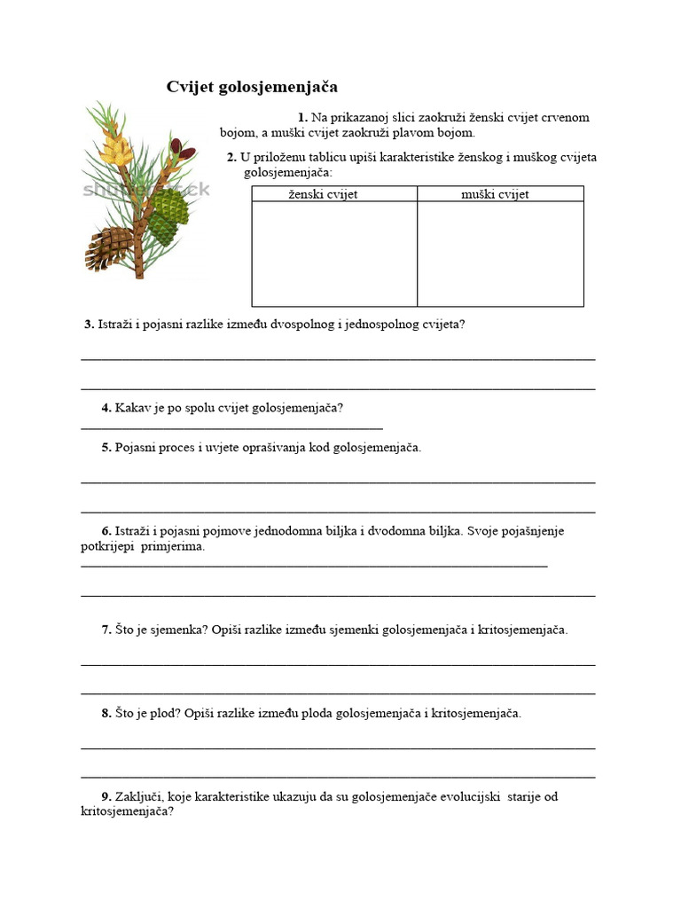 Građa Cvijeta RL | PDF