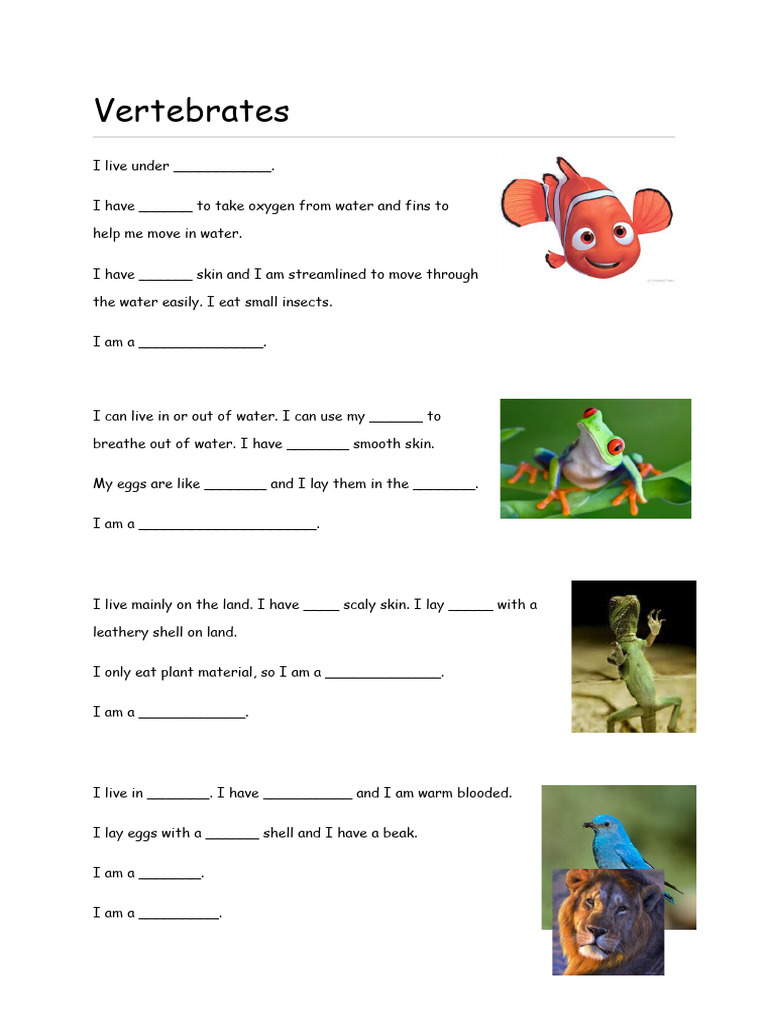 Classifying Vertebrates (Lower) | PDF