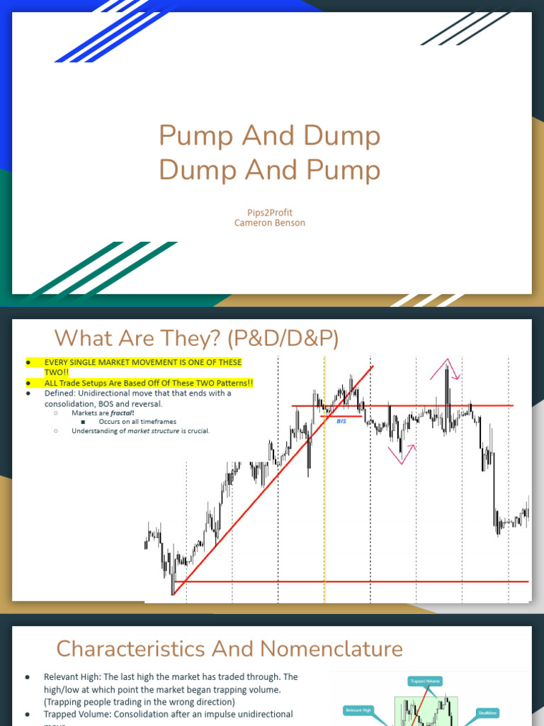 Pump and Dump | PDF | Economies | Private Sector
