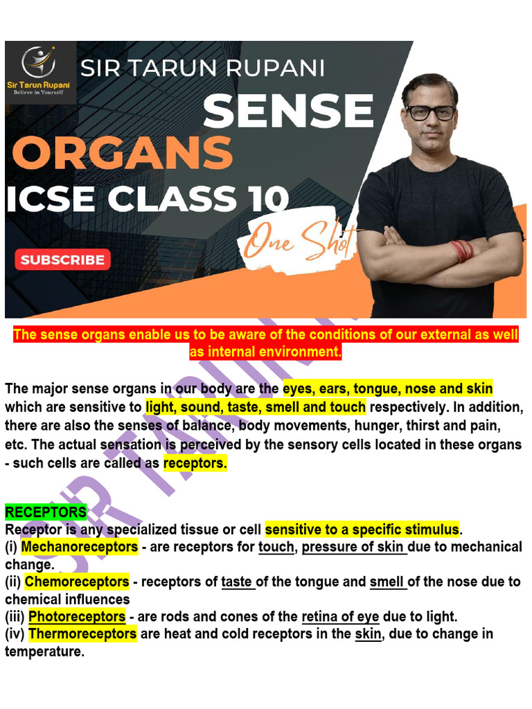 Sense Organs | PDF | Ear | Senses