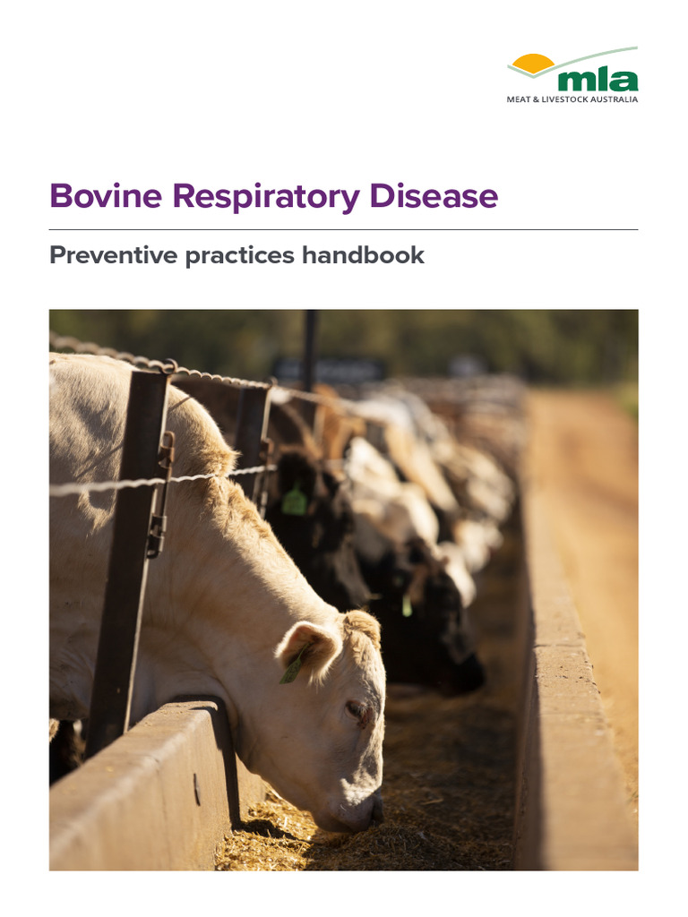 BRD Preventative Practice Guide Update v2 | PDF | Cattle | Infection