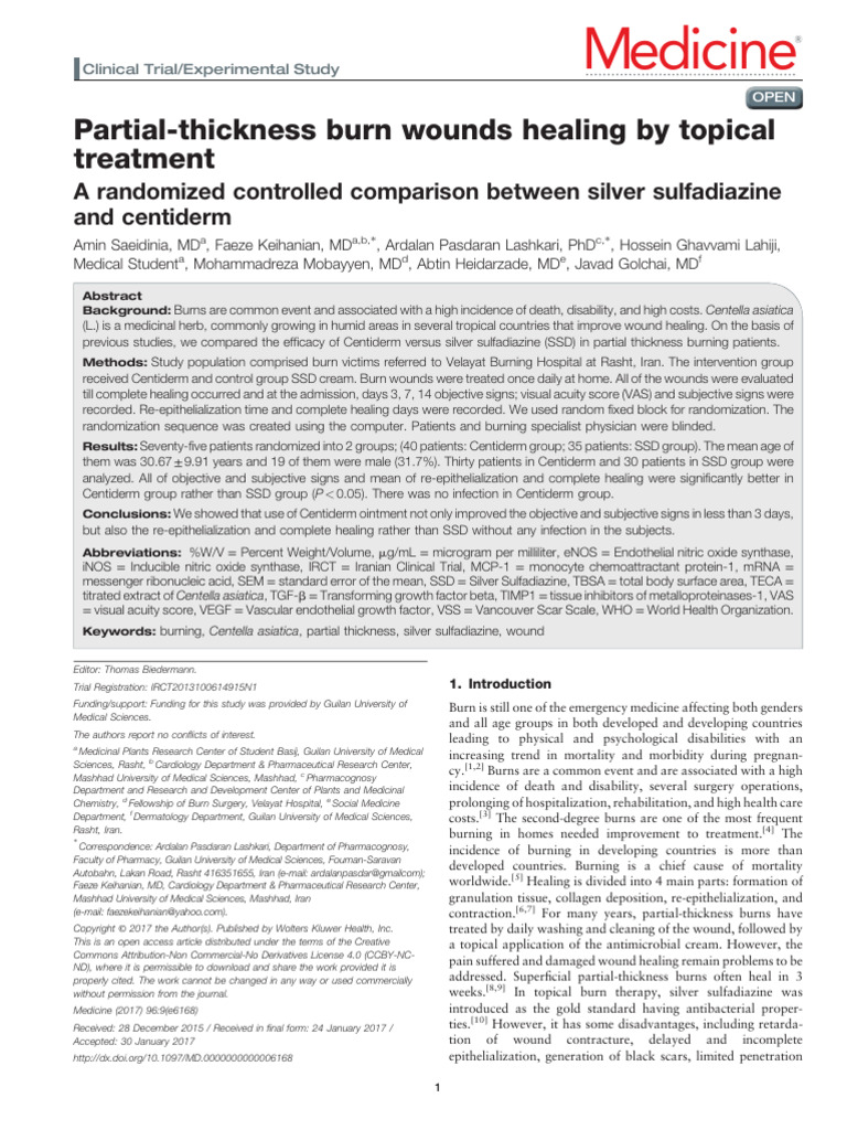 Partial-Thickness Burn Wounds Healing by Topical Treatment | PDF ...