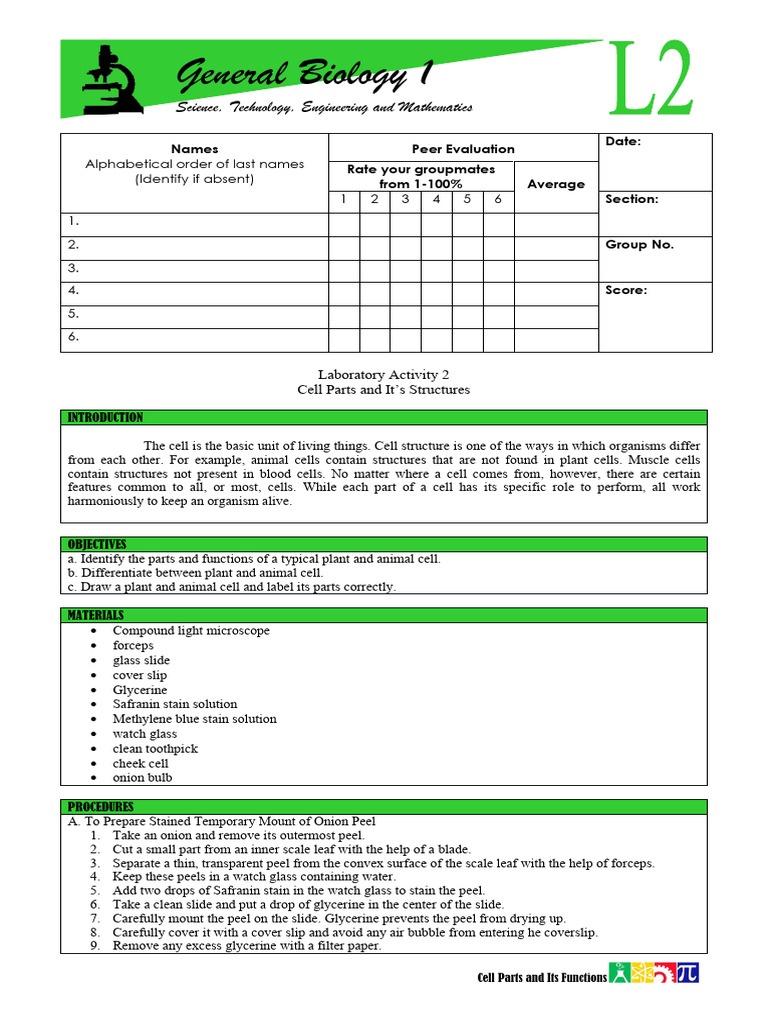 L2 Cell Parts and Its Structures | PDF | Staining | Physical Sciences