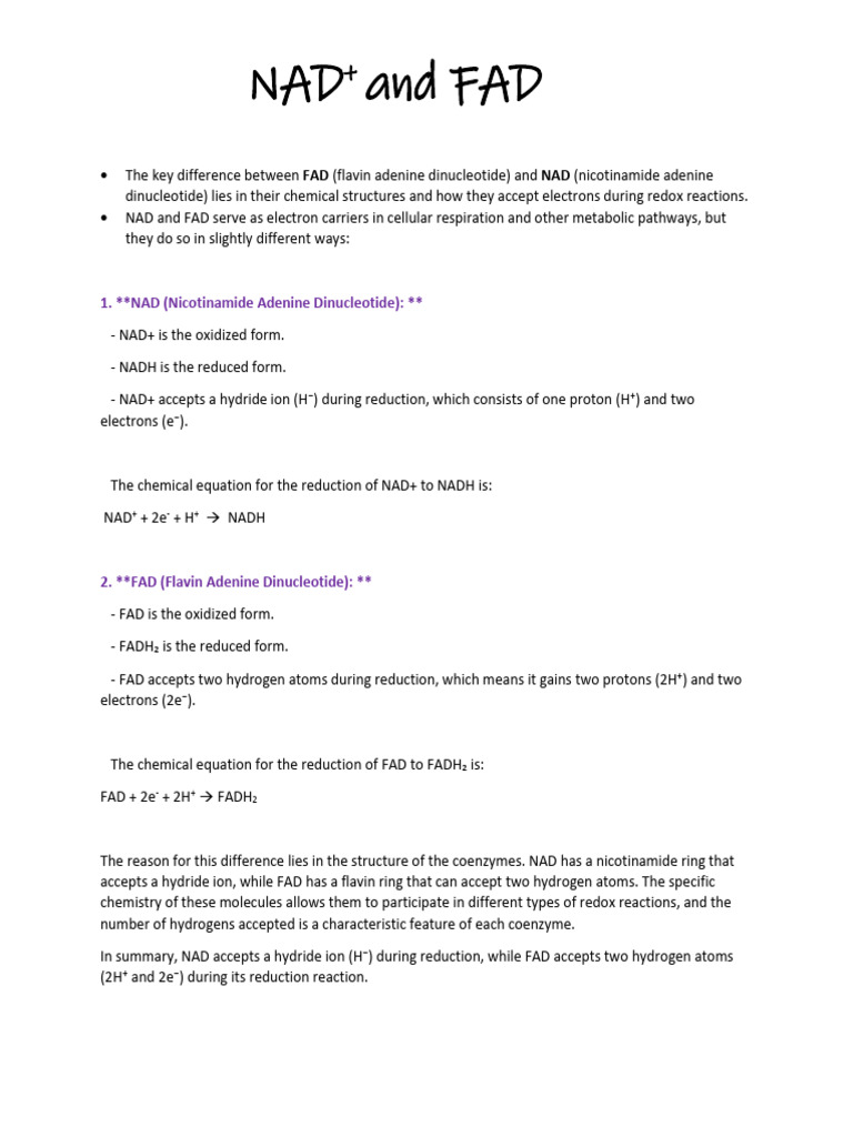 NAD+ & FAD Key Difference | PDF