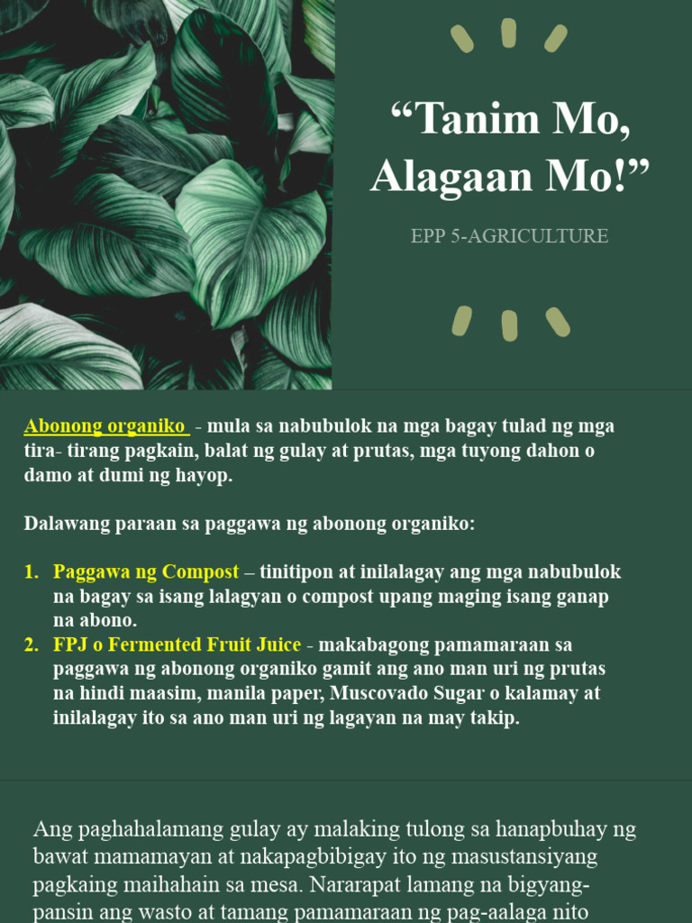 Epp M1-Q3-Agriculture | PDF