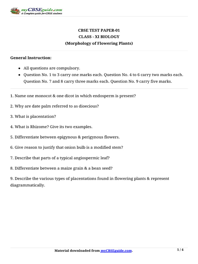 11 Biology Test Paper Ch5 1 | PDF | Leaf | Seed