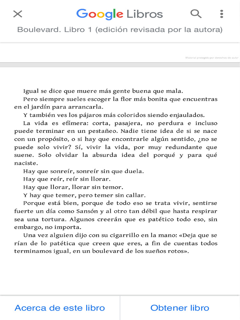 Boulevard. Libro 1 (Edición Revisada Por La Autora) La Versión de Flor - Flor M. Salvador ...