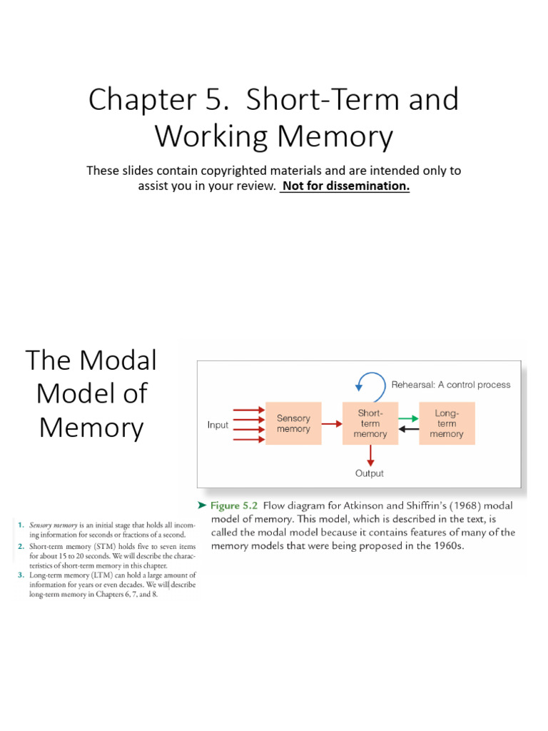 Chapter 5 Short-Term and Working Memory | PDF | Self-Improvement