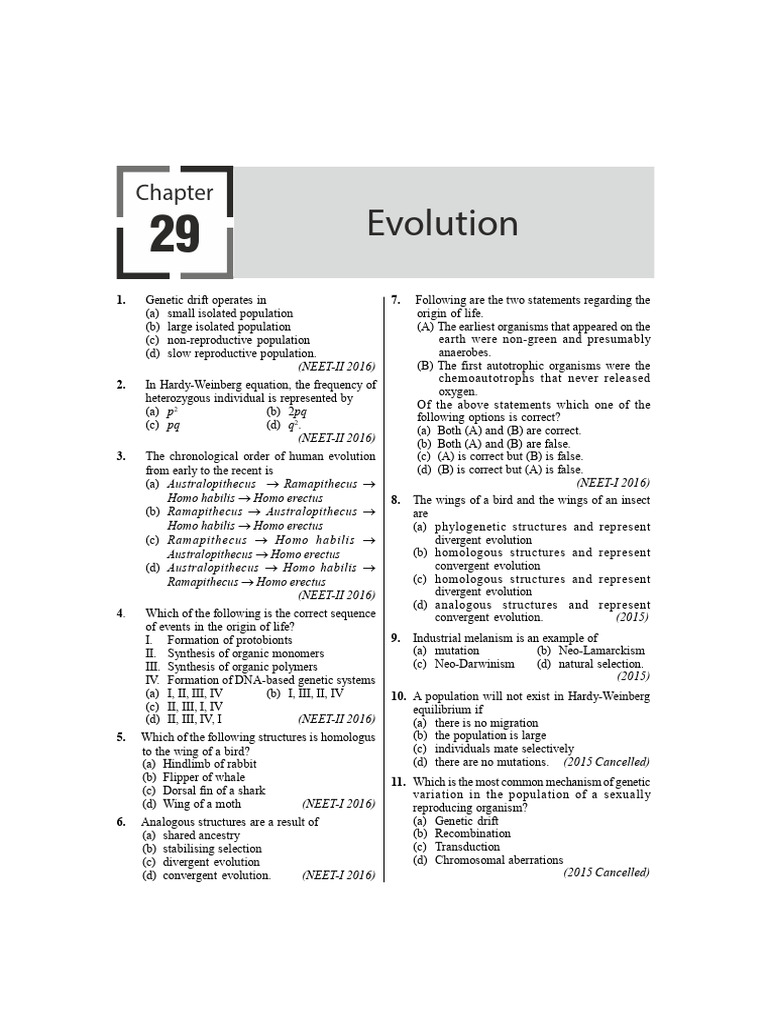 Evolution PYP | PDF | Homo | Evolution