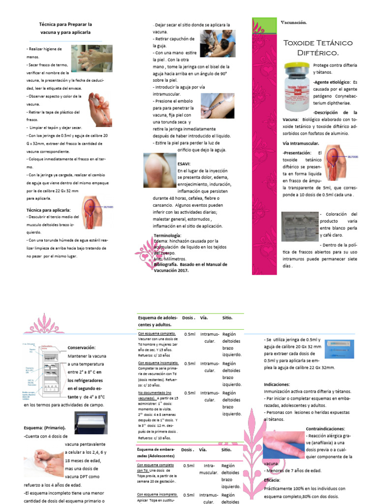 Triptico Toxoide Tetanico 8 | PDF