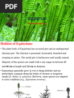 Types of Aestivation in Flowers | PDF | Petal | Plants