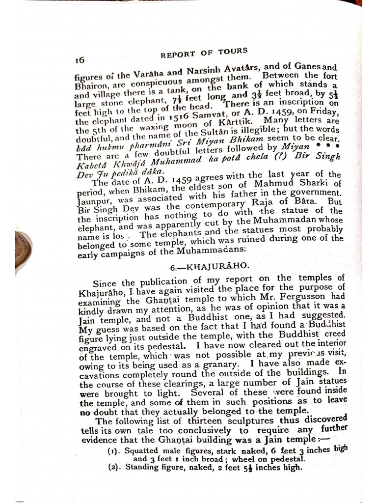 Cunningham Report 1874-75-76-77 | PDF