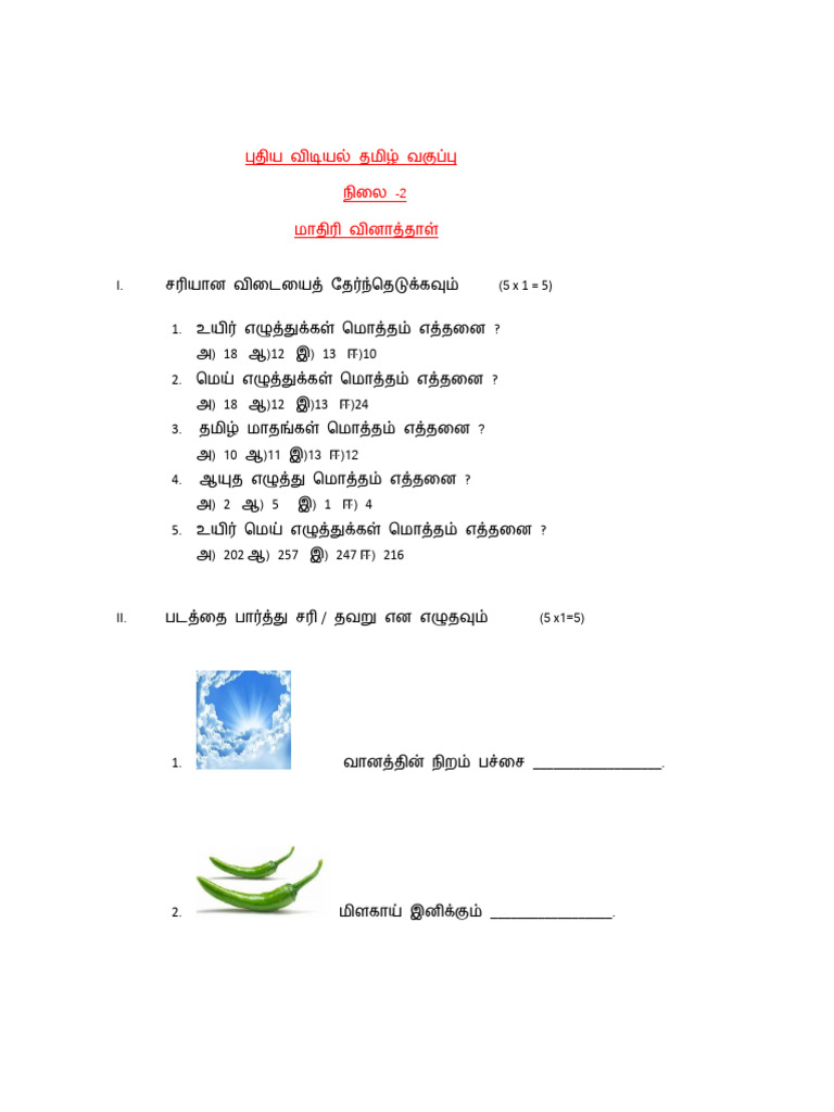 Level 2 Model Question Paper | PDF