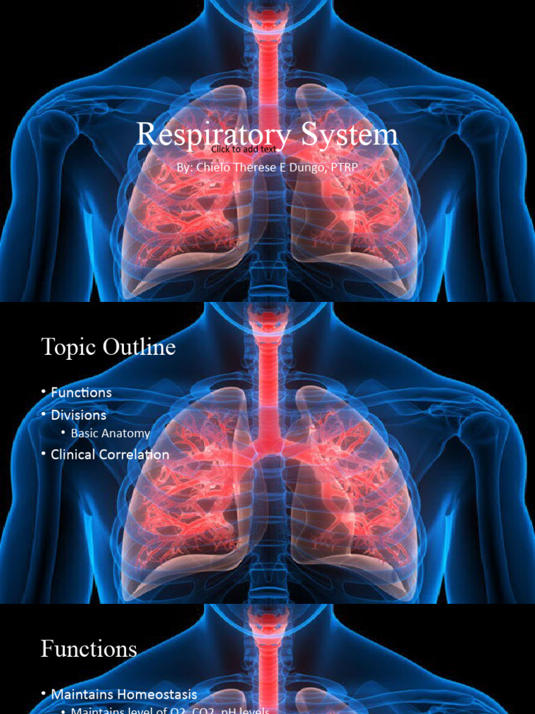 Respiratory System | Download Free PDF | Respiratory Tract | Lung