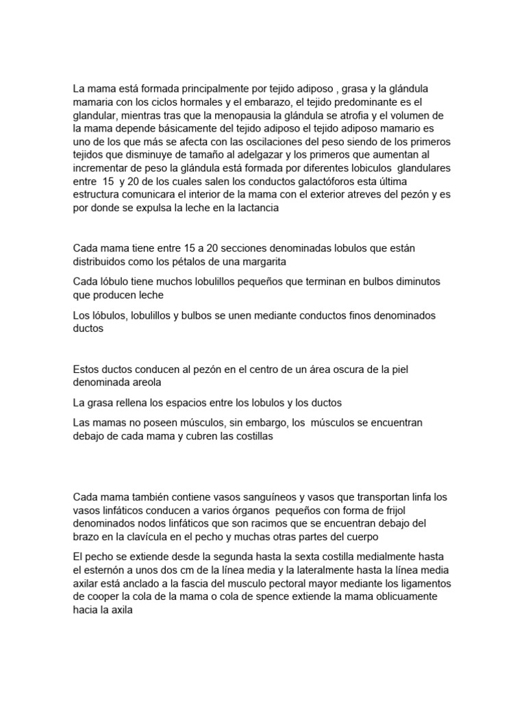 De Que Se Componen Los Cenos | PDF