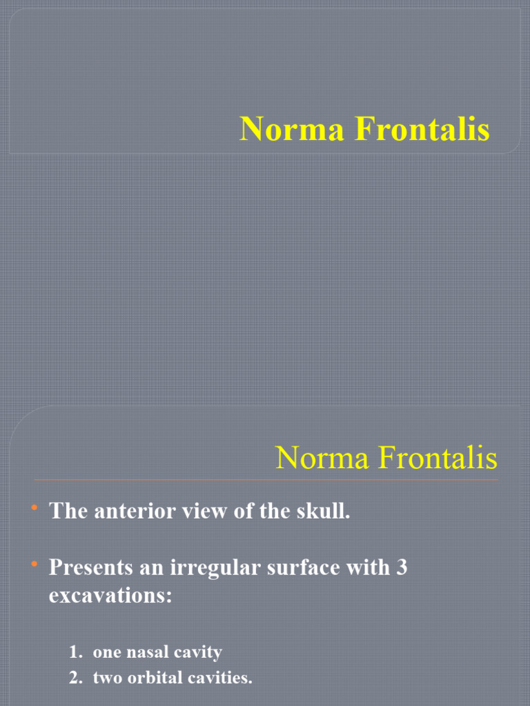 Norma Frontalis | PDF | Human Nose | Facial Features