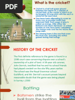 Turf Cricket Tournament Rules | PDF | Bowling (Cricket) | Ball And Bat ...
