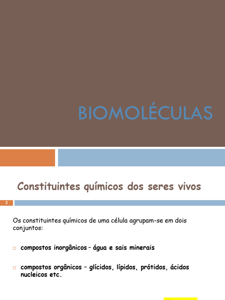 Biomoleculas | PDF | Carboidratos | Ácidos nucleicos