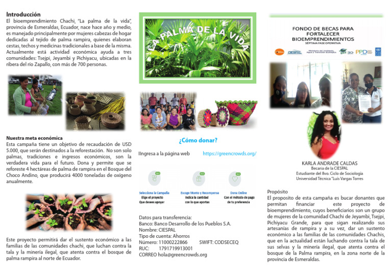 Triptico Rampira Chachi 2 | PDF