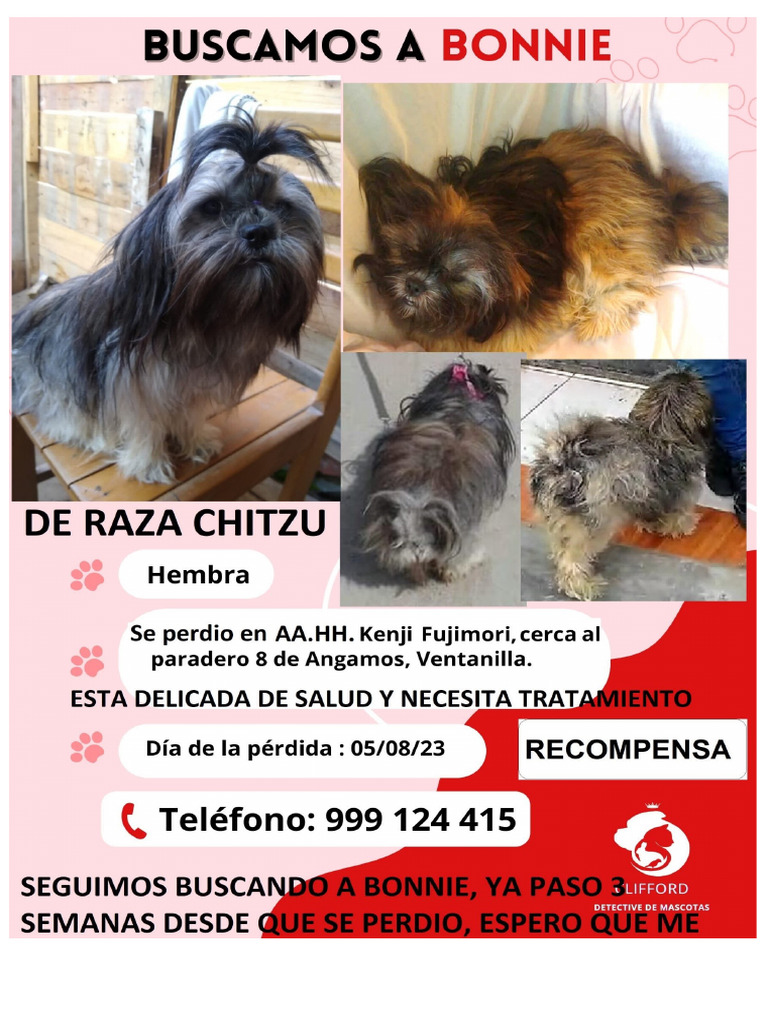 Afiche Perrito Perdido 2 | PDF