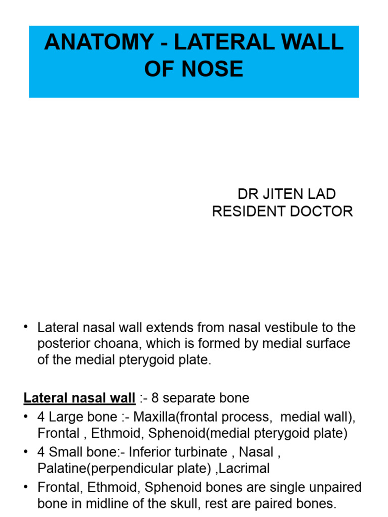 Anatomy of the Lateral Nasal Wall | PDF | Human Nose | Human Anatomy