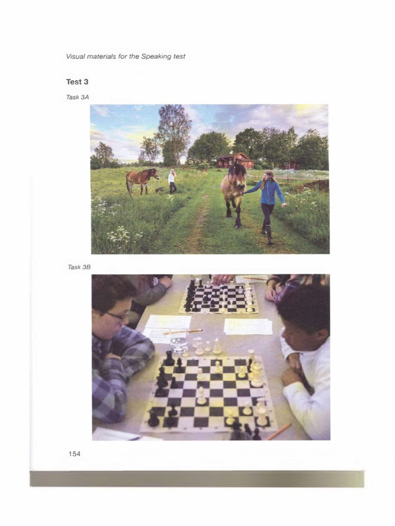 PET Speaking Test 3 | PDF