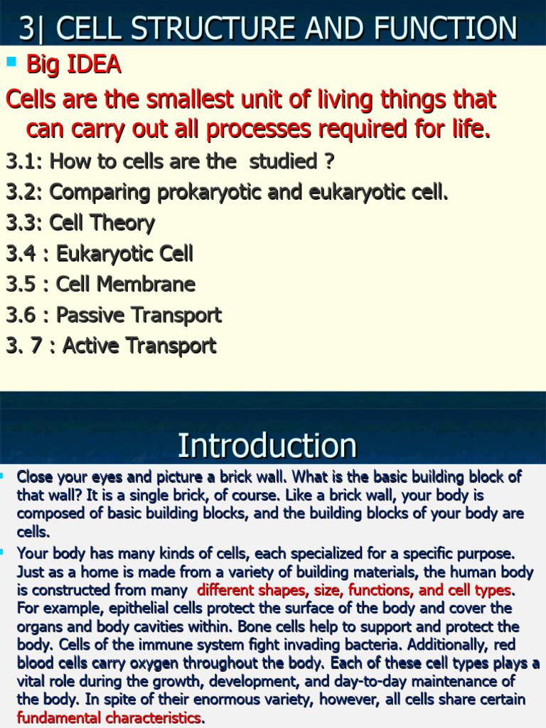 3 Cell Structure and Function | PDF